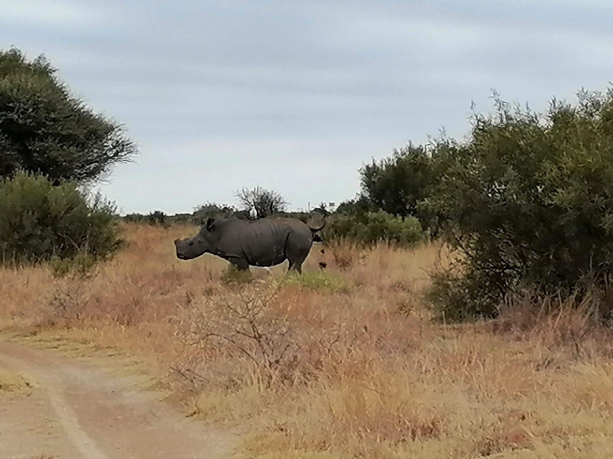 Things To Do In Mafikeng: Unveiling the Hidden Gems | CISERO